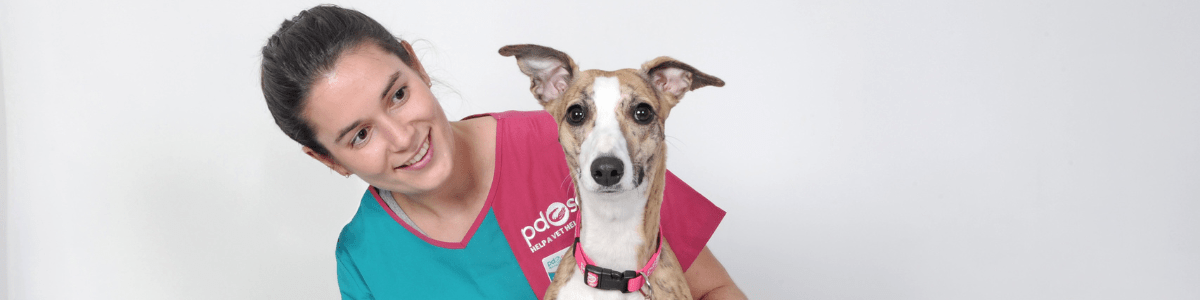 PDSA Vet Care Products - PDSA