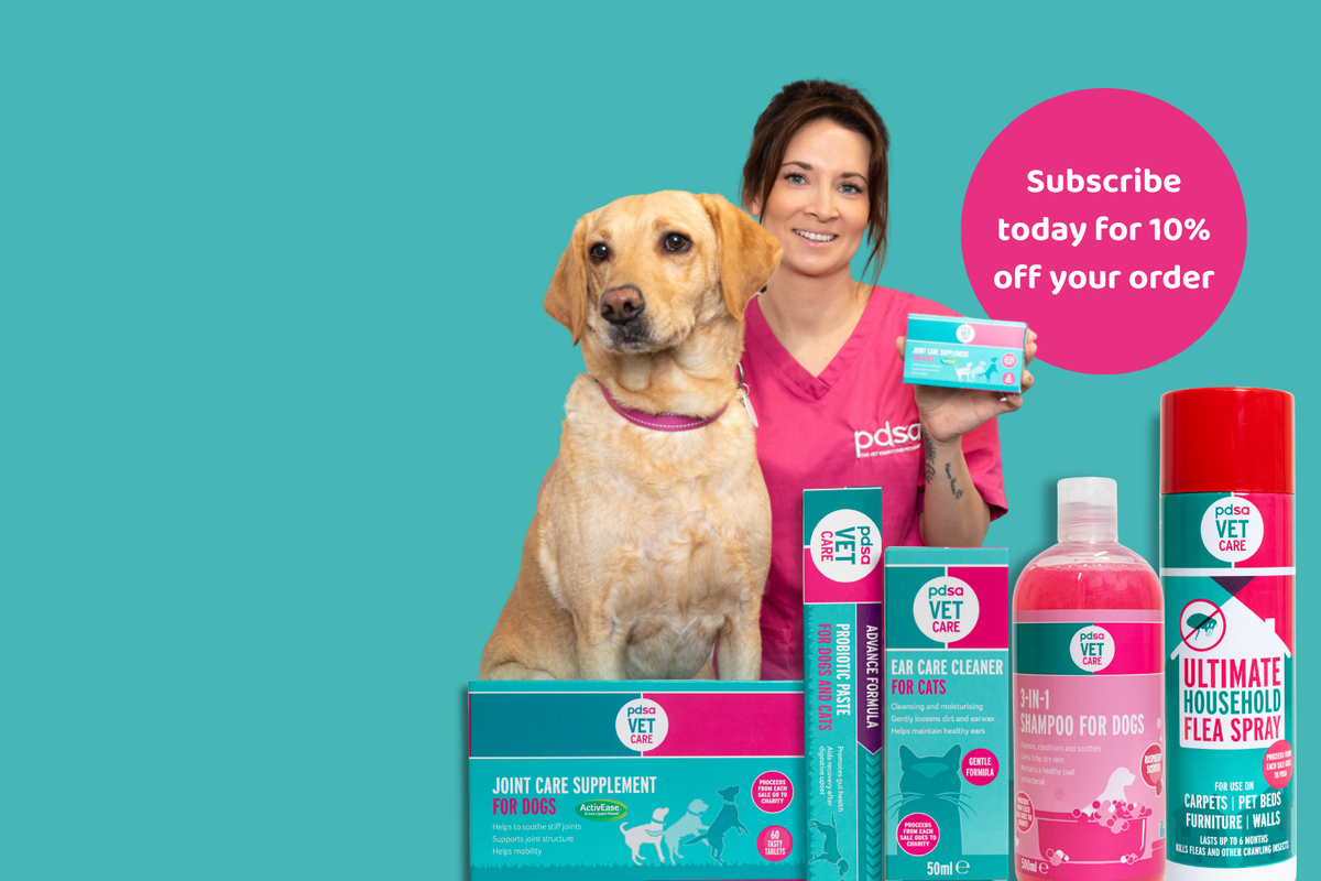 PDSA Pet Store