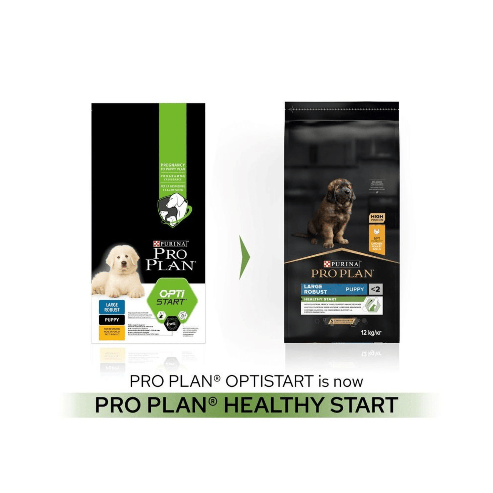 Purina Pro Large Robust Breed Puppy Dry Food (Chicken)